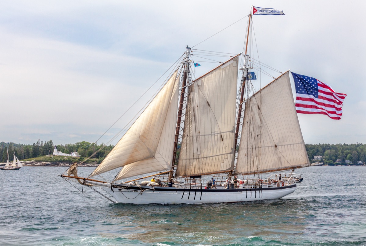 17 Sailboat Types Explained How To Recognize Them Improve Sailing 17 Sailboat Types Explained How To Recognize Them Improve Sailing